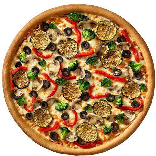Terra Pizza